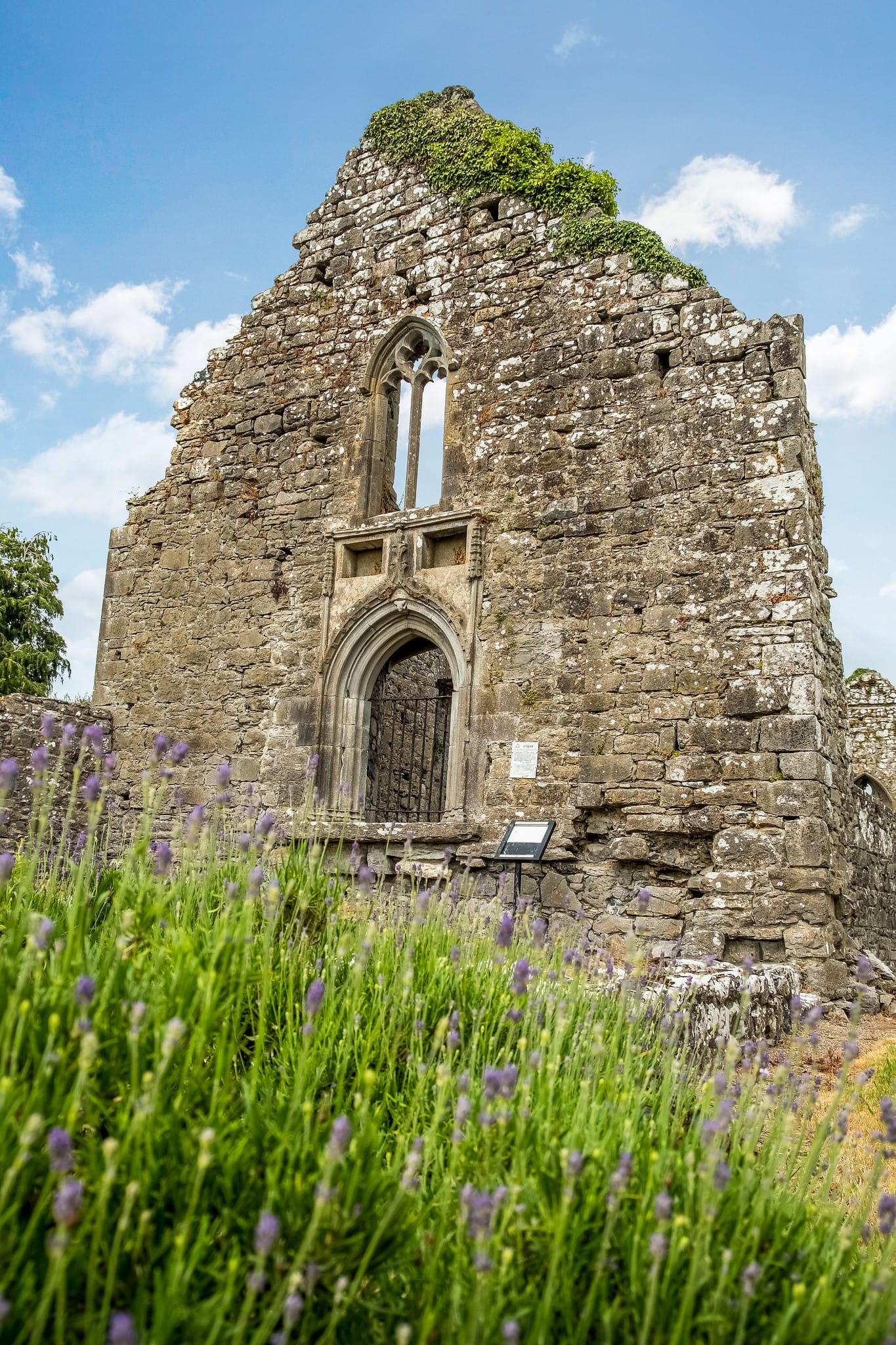 Lorrha - Time for Tipperary